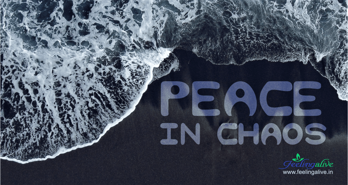Peace in chaos - Feeling Alive Peace Feeling Alive Peace in chaos Peace in chaos - Feeling Alive Peace Feeling Alive Peace in chaos